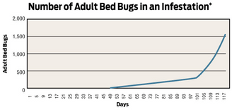 How Long Does It Take For A Bed Bug Infestation To Manifest? – Townhustle