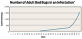 How Long Does It Take For A Bed Bug Infestation To Manifest? – Townhustle