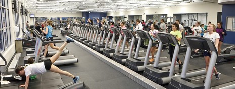 Bed Bugs In A Gym: Everything You Need To Know – Townhustle